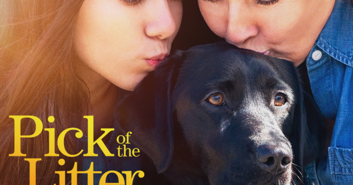 Pick of the Litter - Guide Dogs for the… | Guide Dogs for the Blind
