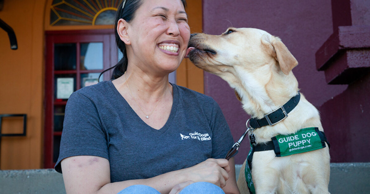 Guide Dogs for the Blind Newsletters | Guide Dogs for the Blind