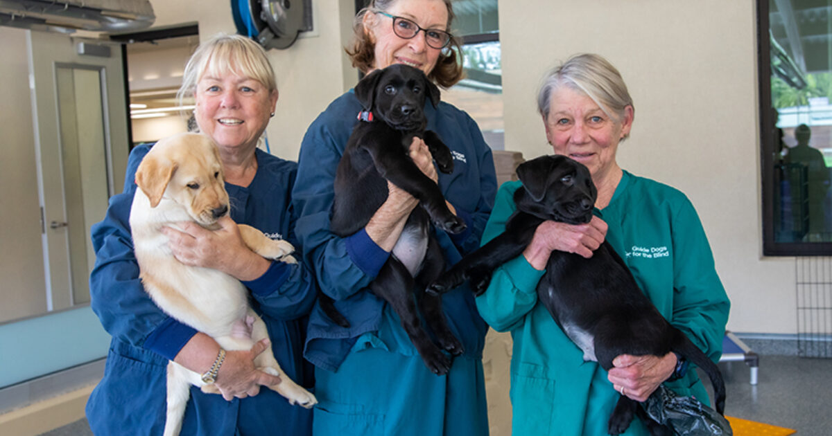 Calendar of Events | Guide Dogs for the Blind