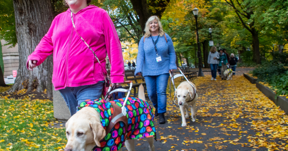 GDB and American Foundation for the Blind… | Guide Dogs for the Blind