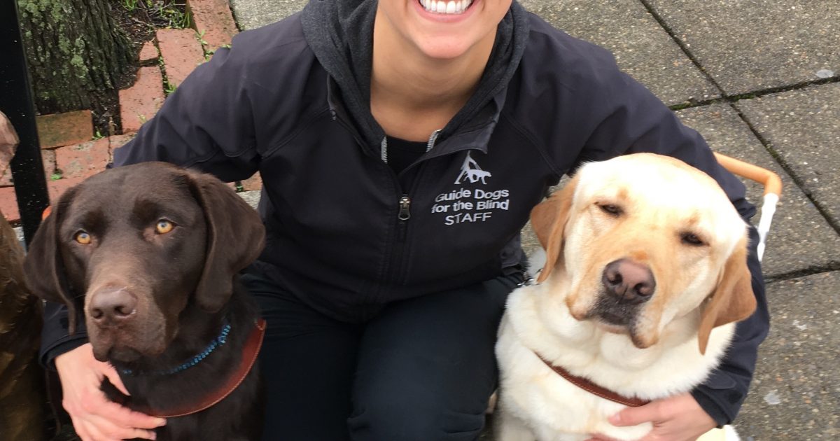 Meet GDB's Newest Qualified Guide Dog… | Guide Dogs for the Blind
