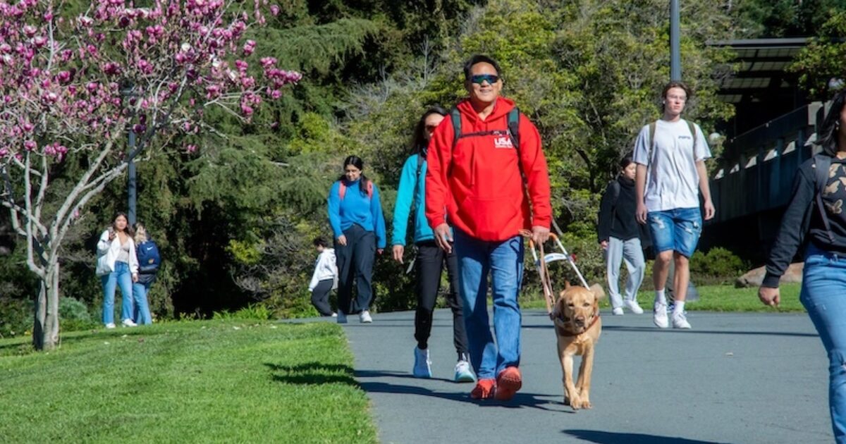 Hazardous Trees for Dogs | Guide Dogs for the Blind