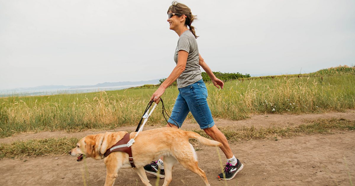 Retiring a Guide Dog | Guide Dogs for the Blind