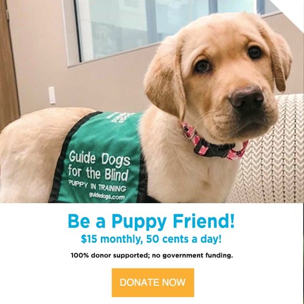 Welcome to Guide Dogs for the Blind | Guide Dogs for the Blind