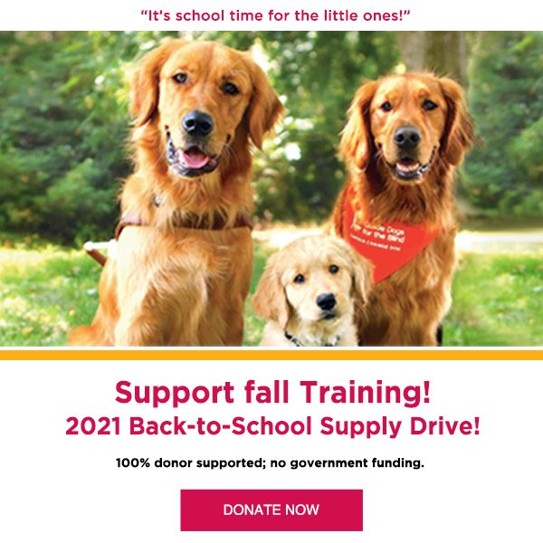 Welcome to Guide Dogs for the Blind | Guide Dogs for the Blind