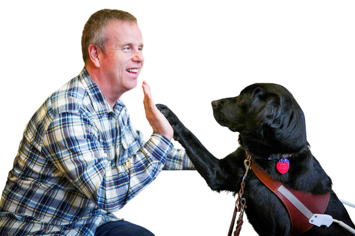Welcome to Guide Dogs for the Blind | Guide Dogs for the Blind