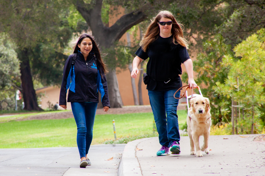 Beyond Puppy Raising | Guide Dogs for the Blind