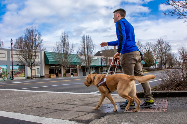 Beyond Puppy Raising | Guide Dogs for the Blind