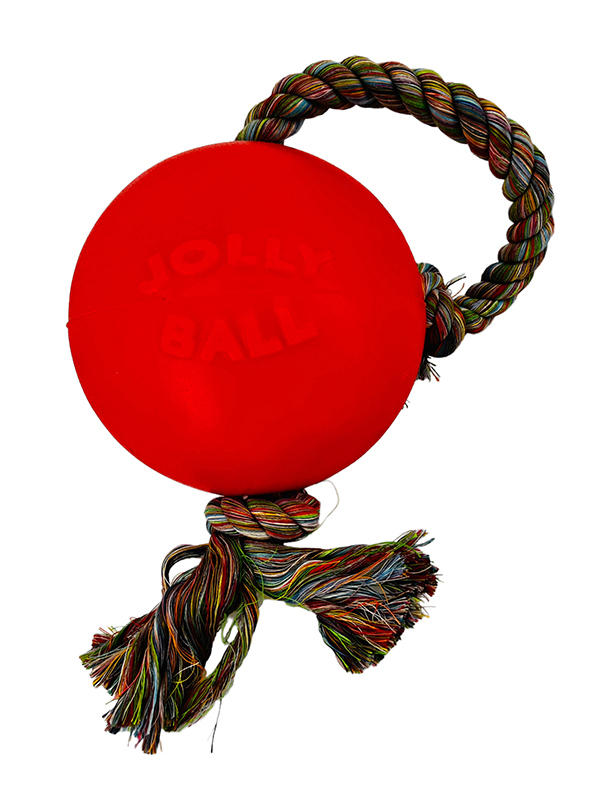 Exercise Play and Toys | Guide Dogs for the Blind