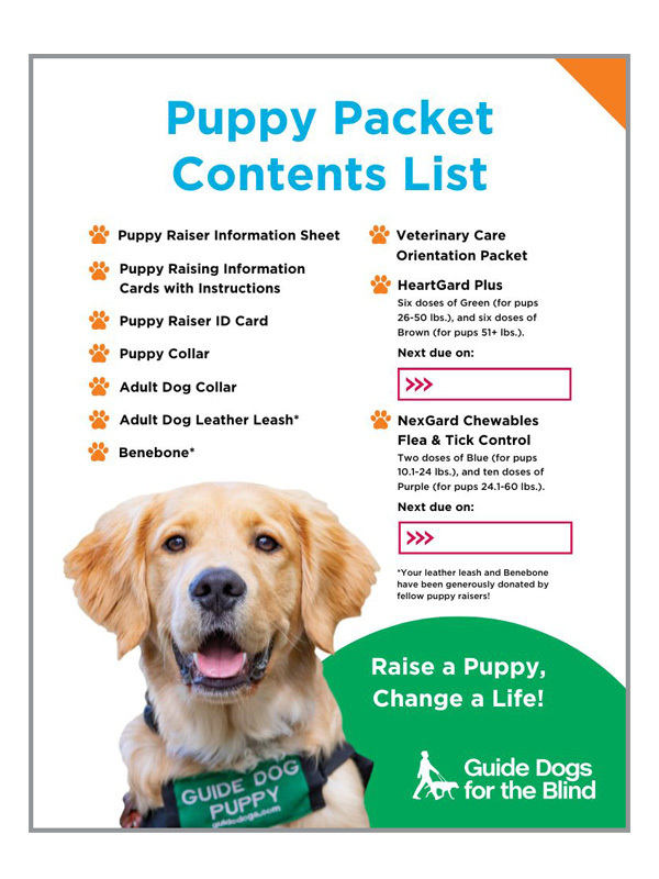 Equipment and Supplies | Guide Dogs for the Blind