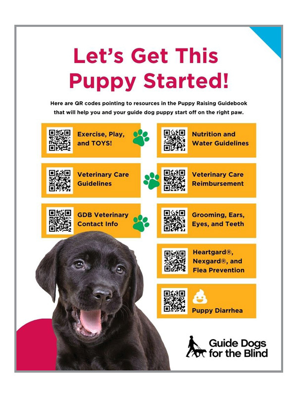 Equipment and Supplies | Guide Dogs for the Blind