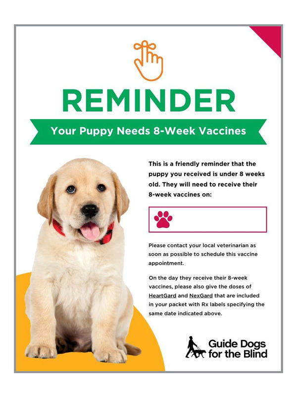Equipment and Supplies | Guide Dogs for the Blind