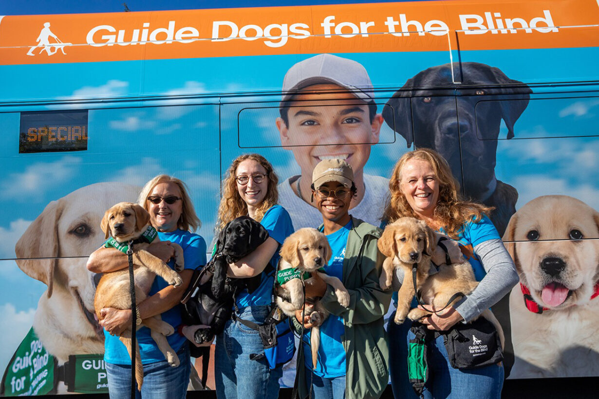 How We Work Together | Guide Dogs for the Blind