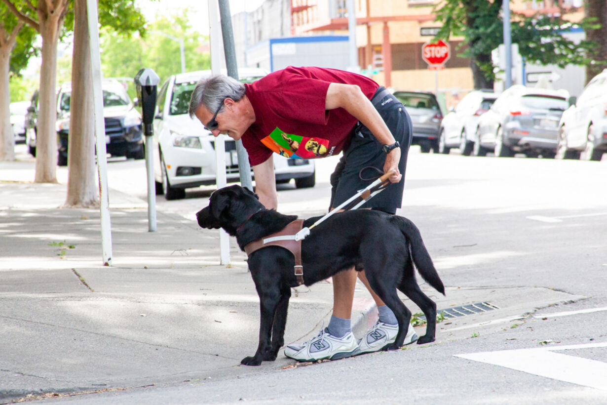 Phase 3 Preliminary Testing | Guide Dogs for the Blind