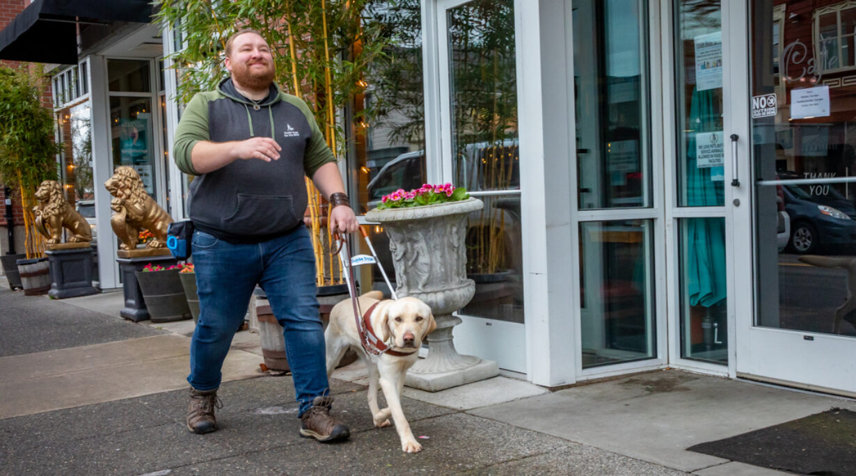 Guide Dog Training | Guide Dogs for the Blind