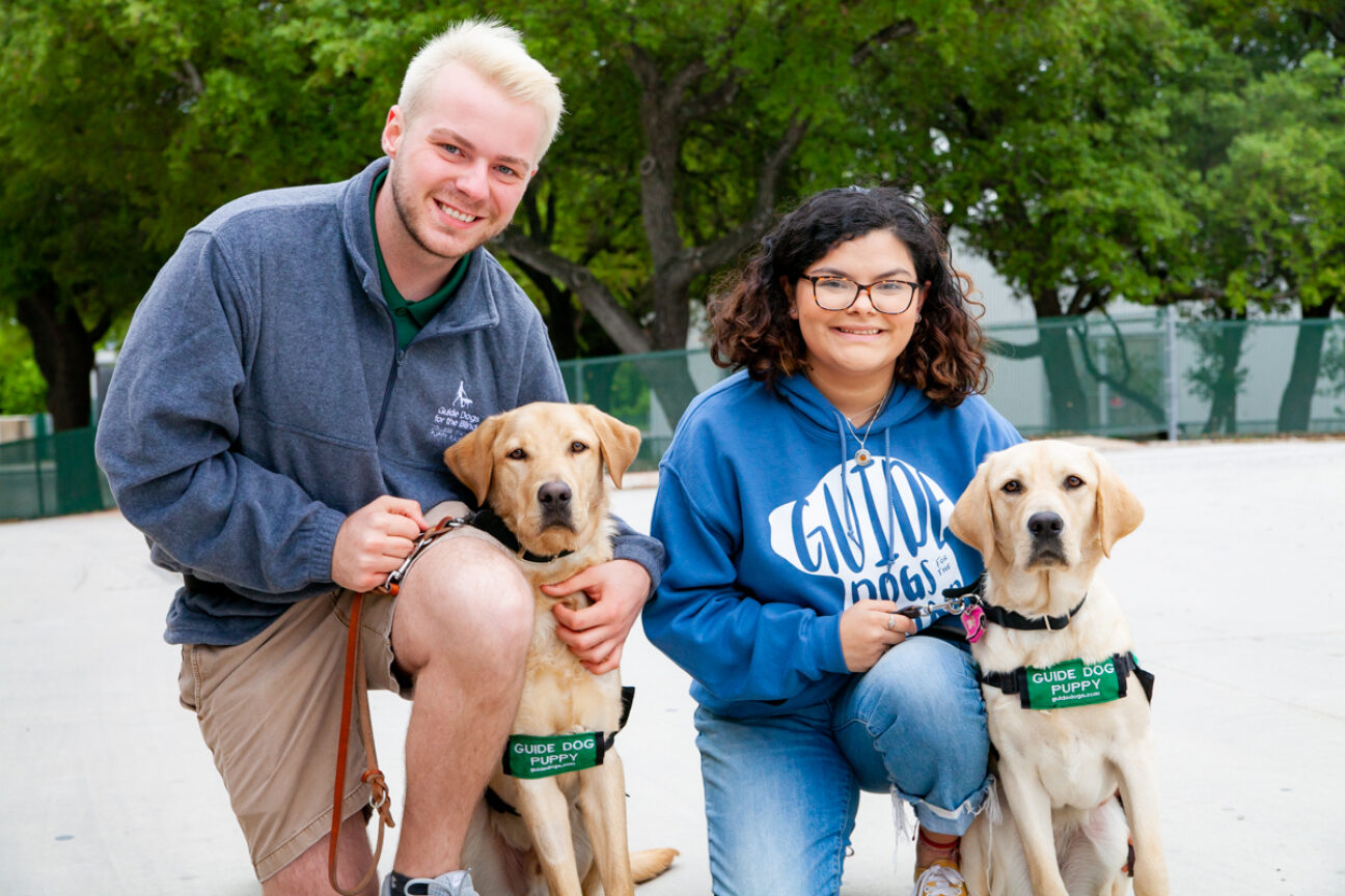Puppy Handlers | Guide Dogs for the Blind