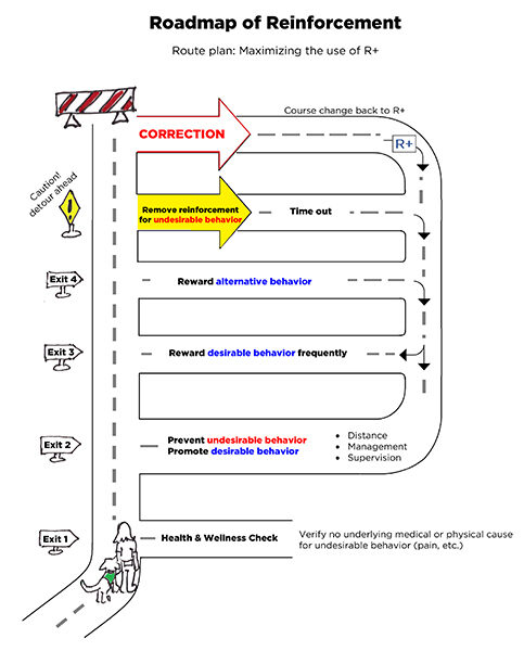 Puppy Raising R+ Philosophy | Guide Dogs for the Blind