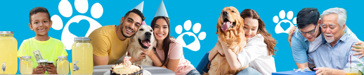 Fundraise for PAWSitive Impact | Guide Dogs for the Blind